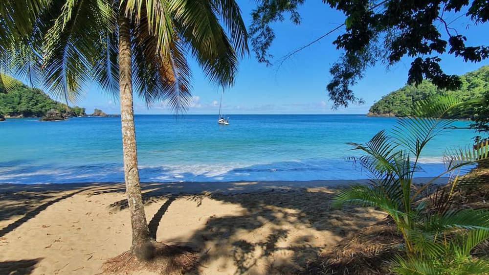 Explore a hidden paradise in Tobago