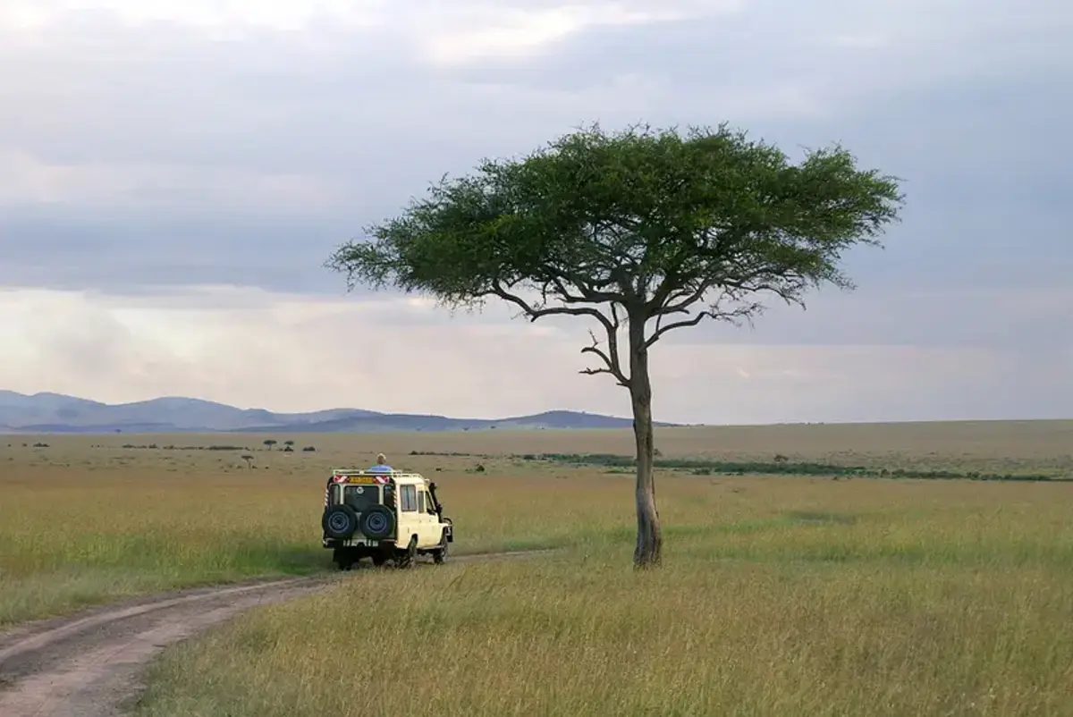 A solo safari in the heart of Kenya