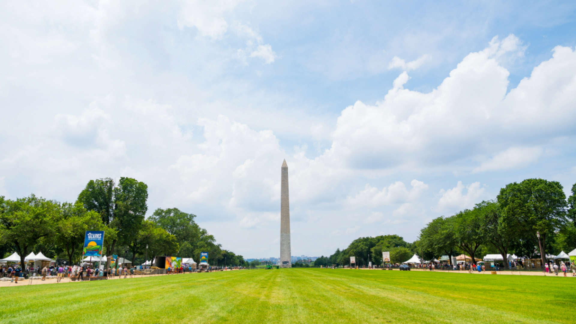 Experience the National Cherry Blossom Festival in Washington, DC