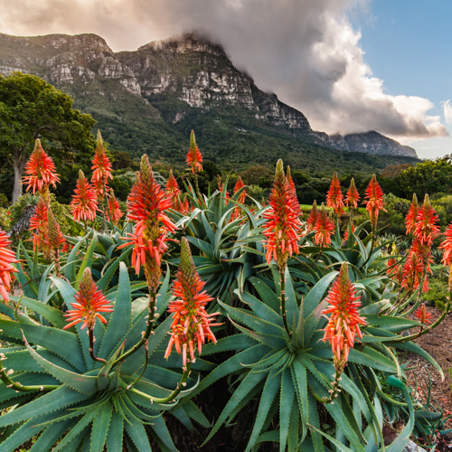 South Africa
