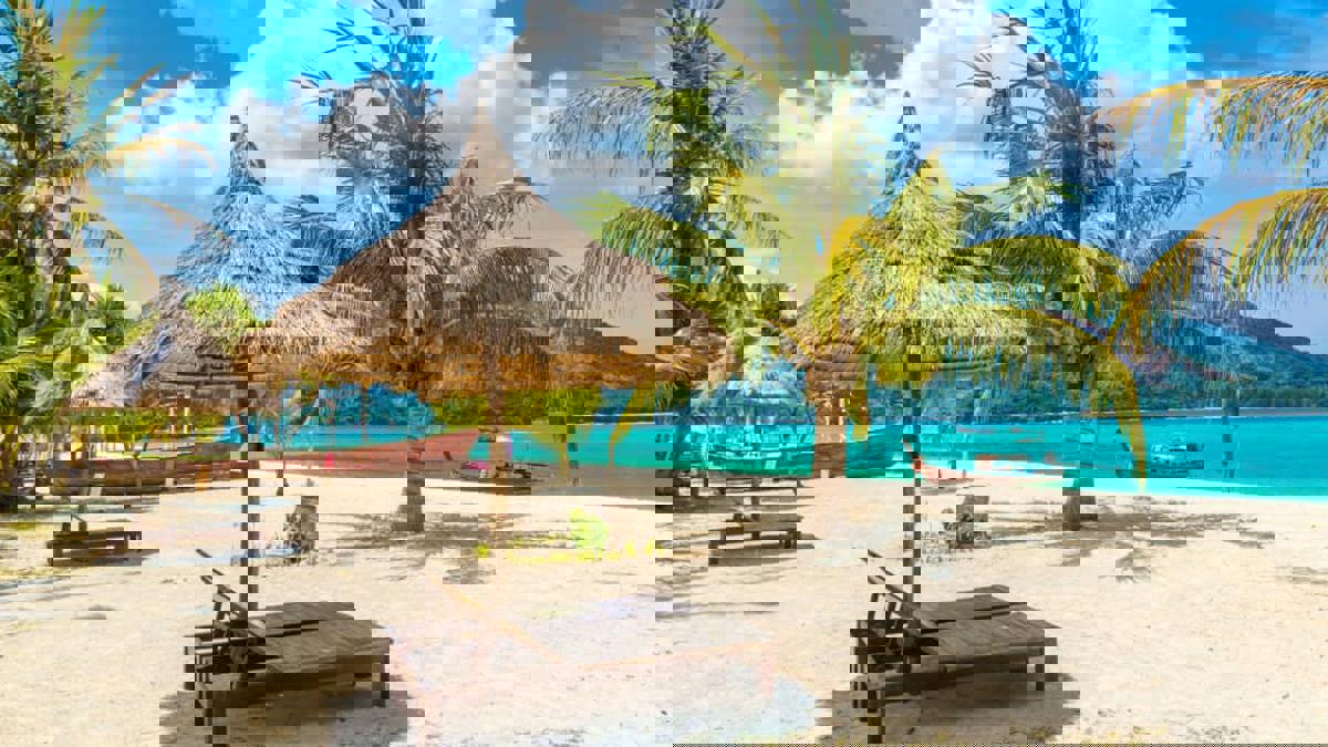 Explore the enchantment of Aruba