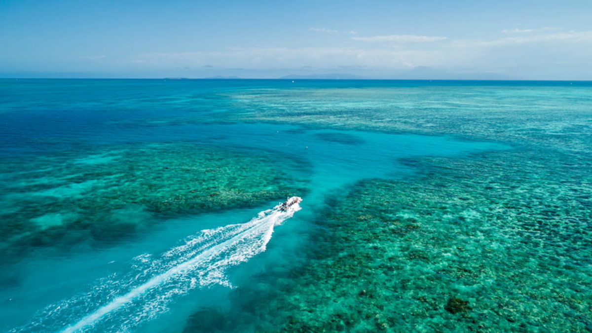 Explore Cairns and the Great Barrier Reef