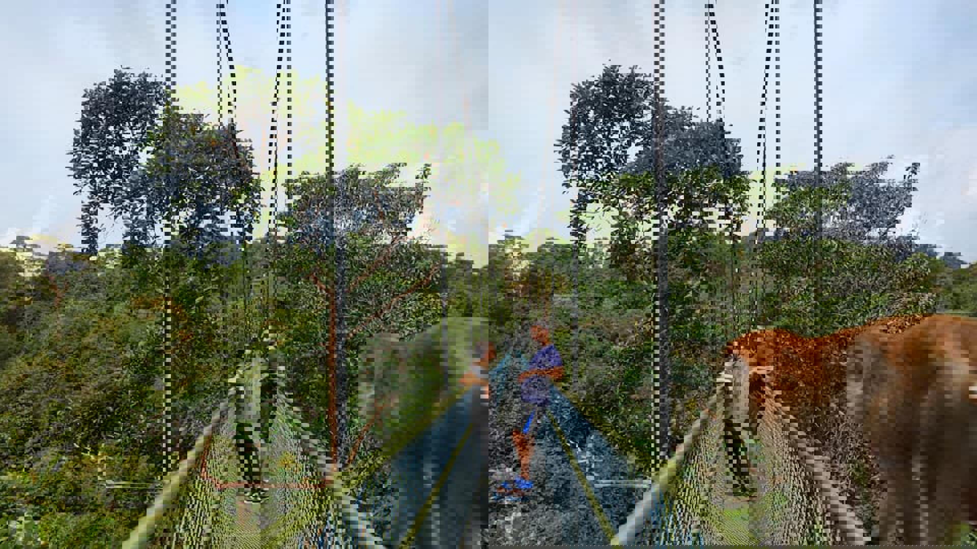 Discover the lesser-seen side of Singapore